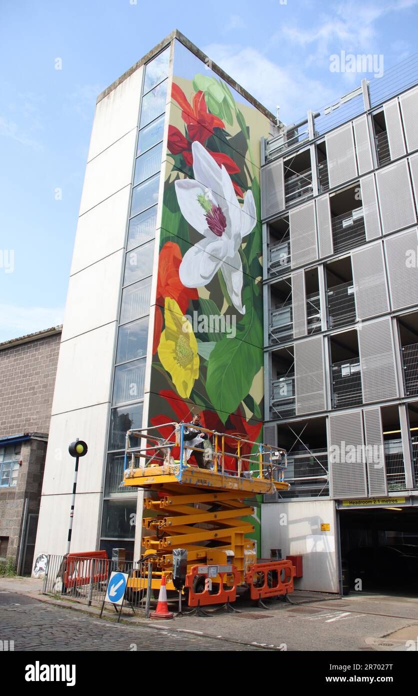 Nuart 2023 hi-res stock photography and images - Alamy