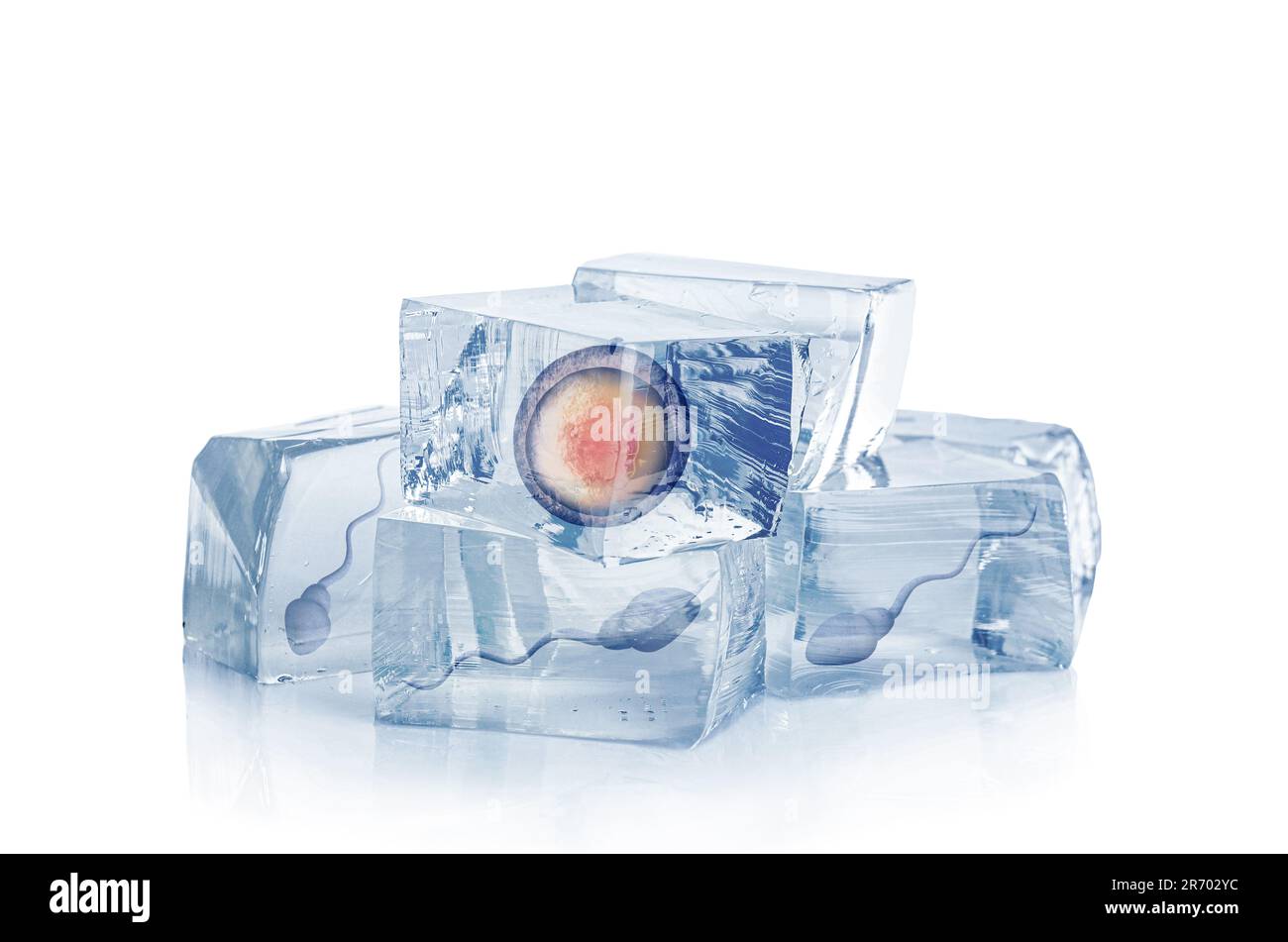 Cryopreservation of genetic material. Ovum and sperm cells in ice cubes ...