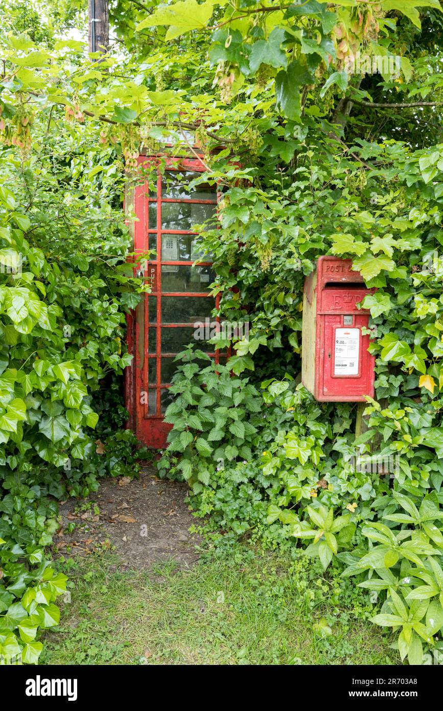 UK Red Telephone and Letter Box hidden by bushes and trees Stock Photo ...