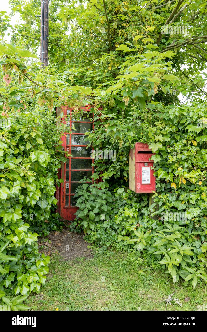 UK Red Telephone and Letter Box hidden by bushes and trees Stock Photo ...