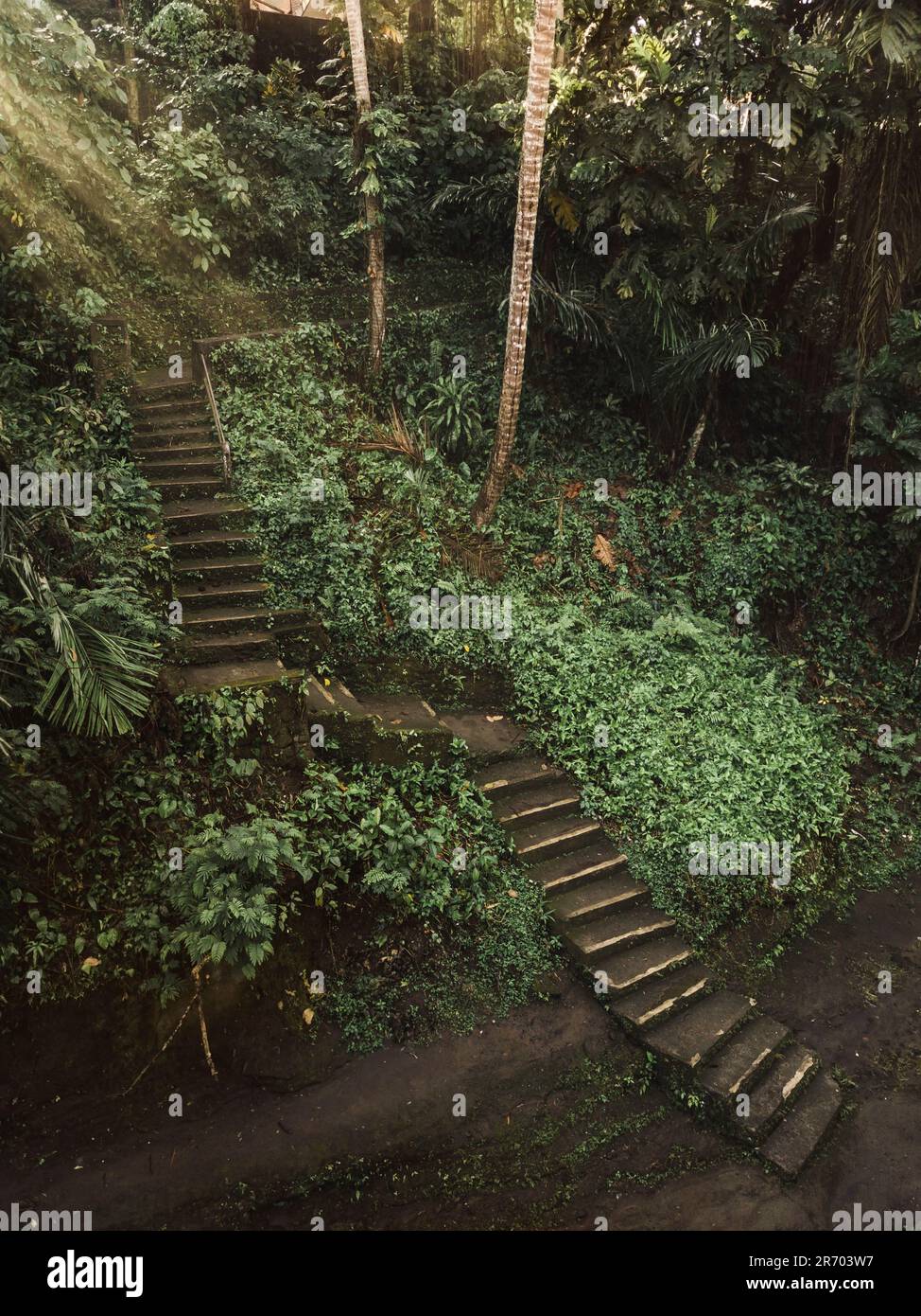 Steps in jungle, Ubud, Bali, Indonesia Stock Photo - Alamy