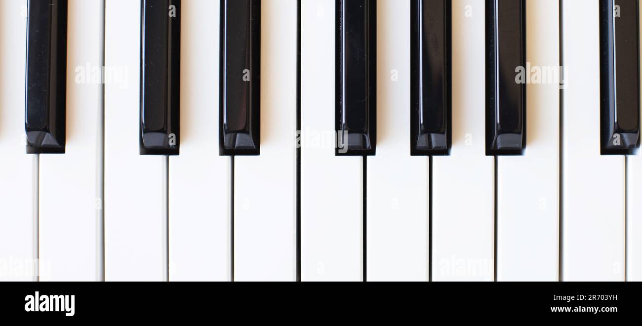 Synthesizer keys black and white background with copy space for your ...