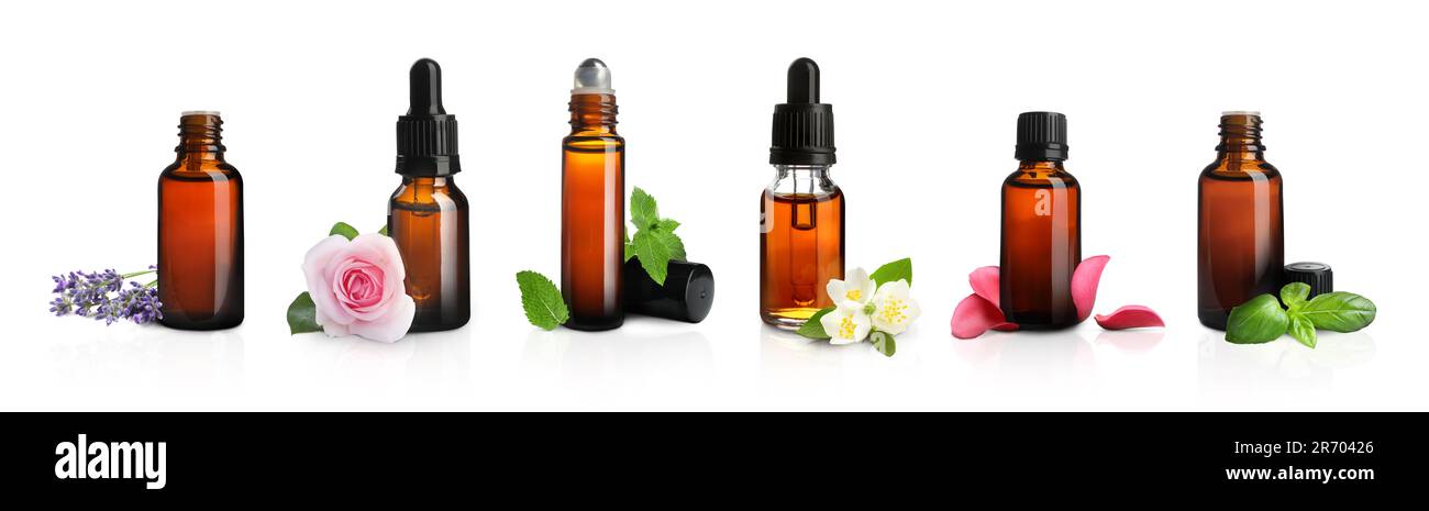 Set of different essential oils in bottles and ingredients on white ...