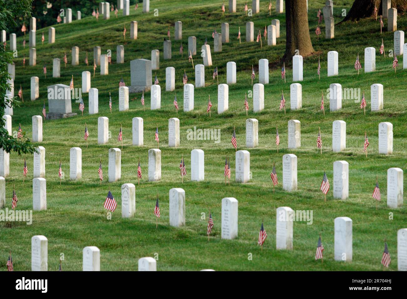 Soldiers place flags on graves at Arlington National Cemetery Stock ...