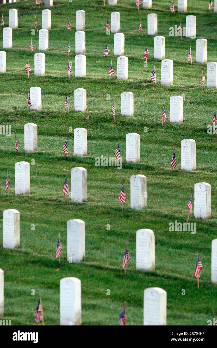 Soldiers place flags on graves at Arlington National Cemetery Stock ...