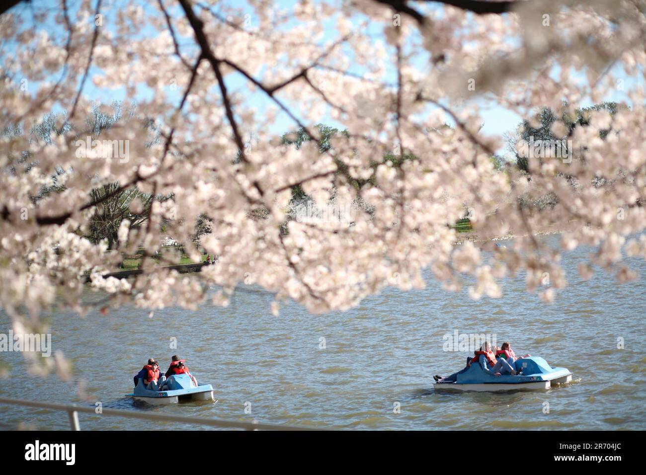 Pedal paddle boats hi-res stock photography and images - Alamy