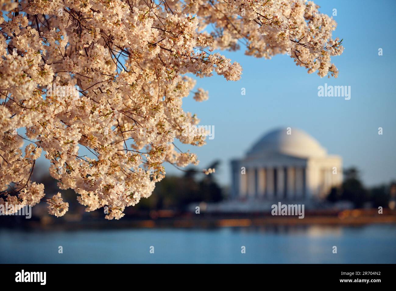 The Jefferson Memorial can be seen past cherry blossoms near the Tidal ...