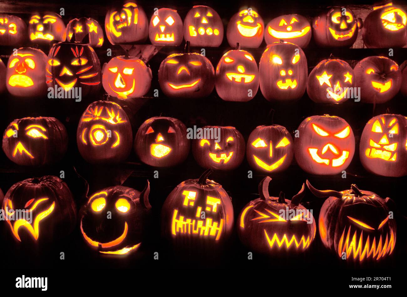 Rows of pumpkins are carved and illuminated with candles in celebration ...