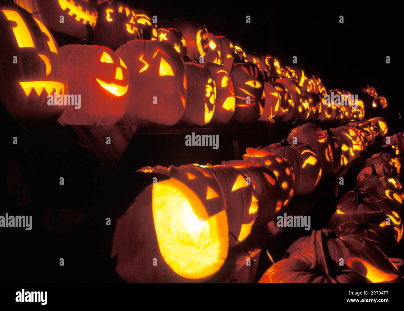Rows of pumpkins are carved and illuminated with candles in celebration ...