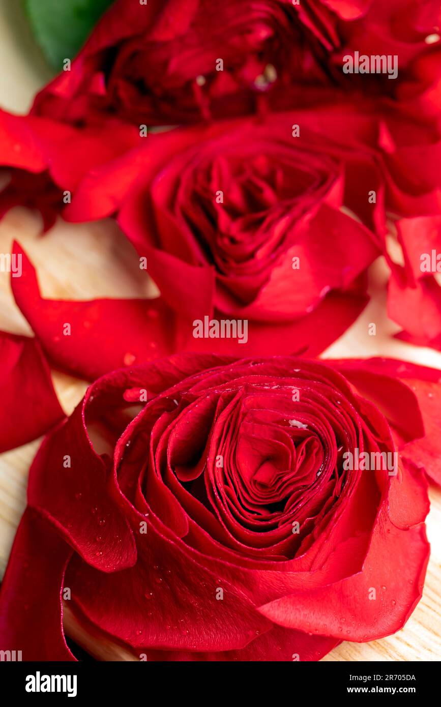 A beautiful red rose cut into pieces, a beautiful red rose flower ...