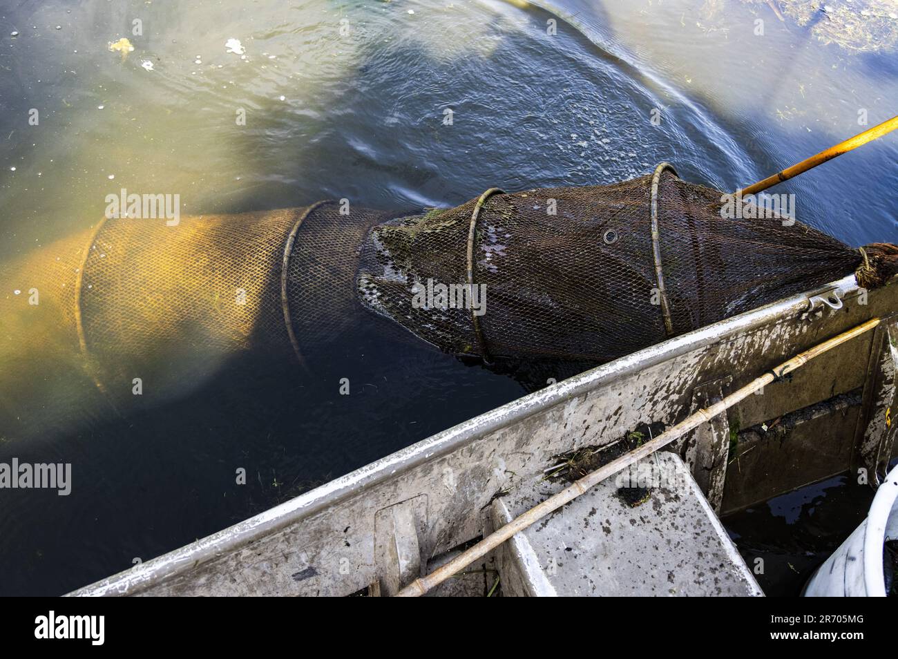 Crayfisherman hi-res stock photography and images - Alamy