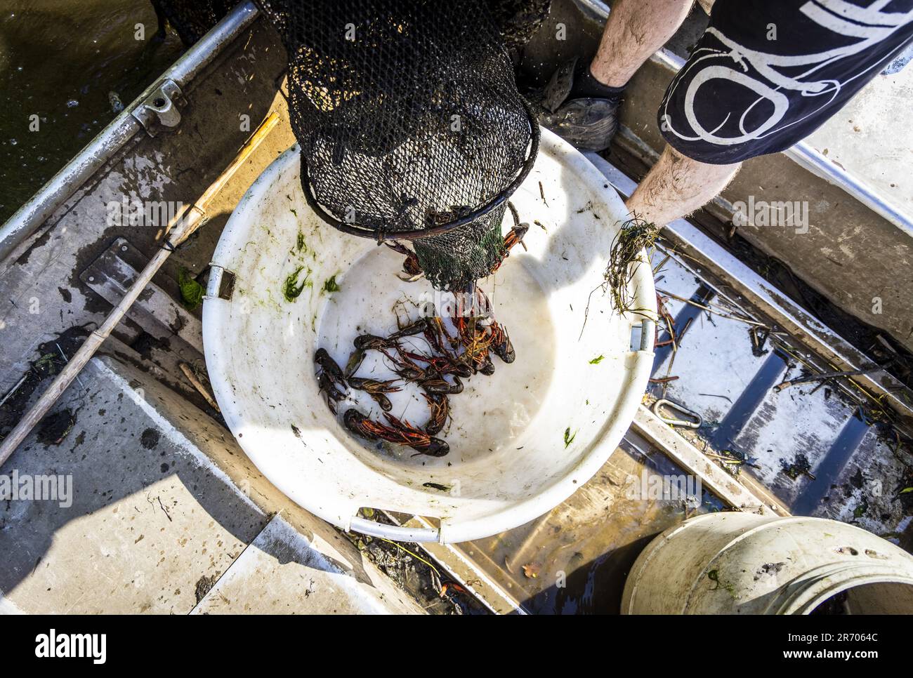 Crayfisherman hi-res stock photography and images - Alamy