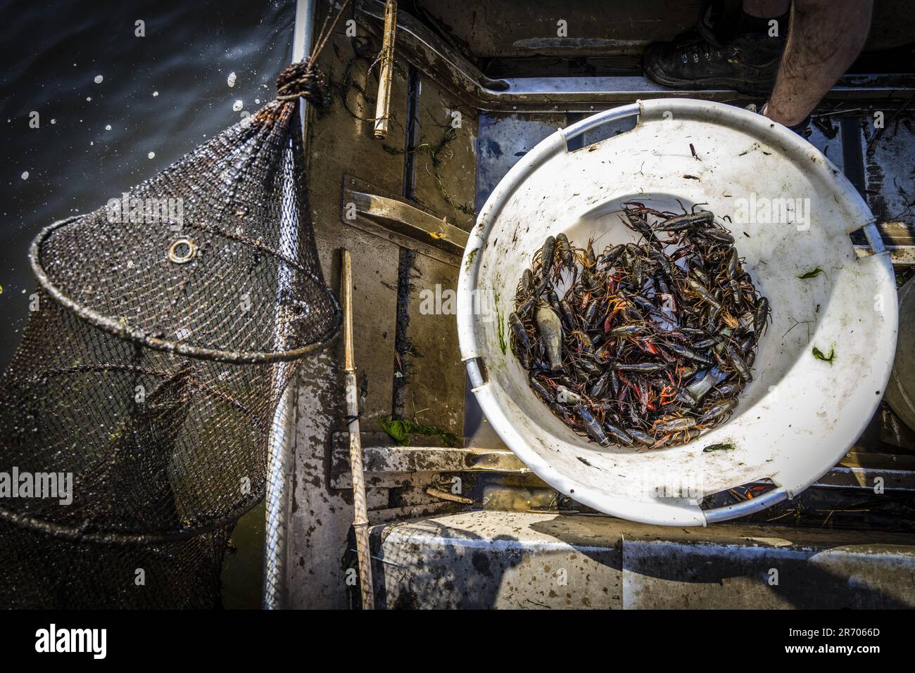 Visindustrie hi-res stock photography and images - Alamy