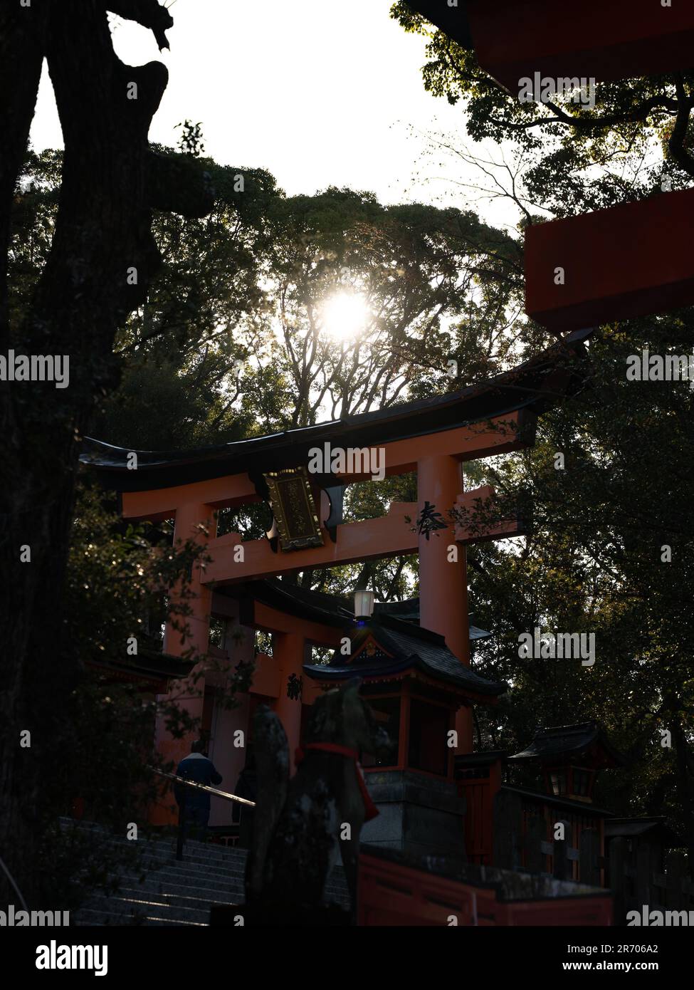 A man in the traditional Japanese archway, illuminated by the rays of ...