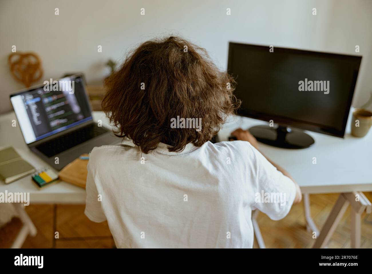 Back view of businessman using computer while working remotely from ...