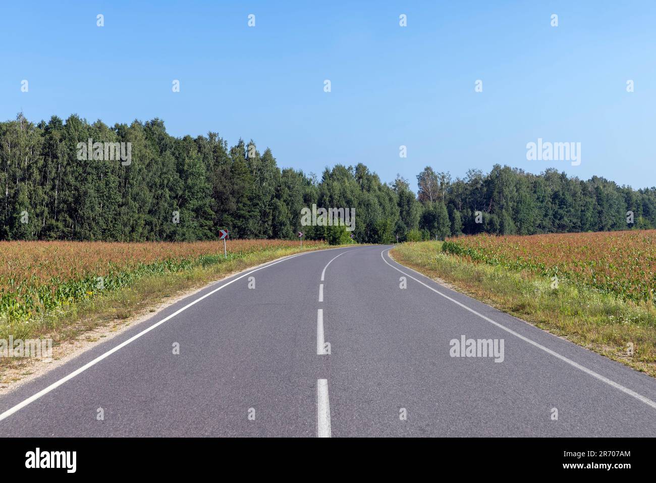 Paved road through the forest, a high-quality road for traffic in rural ...