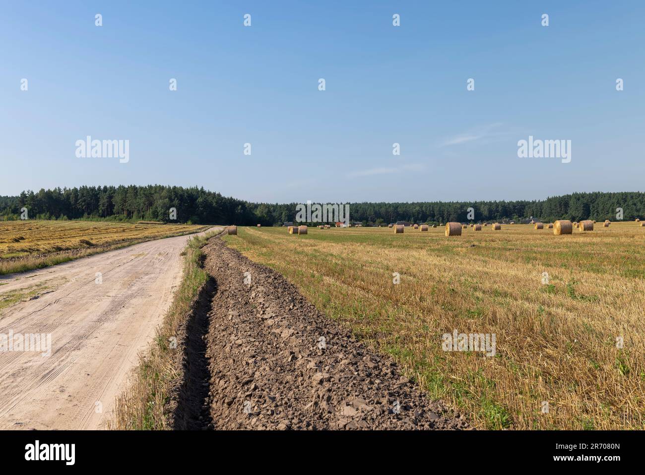 Rural road for cars and transport, ruts and traces of cars on a sandy ...