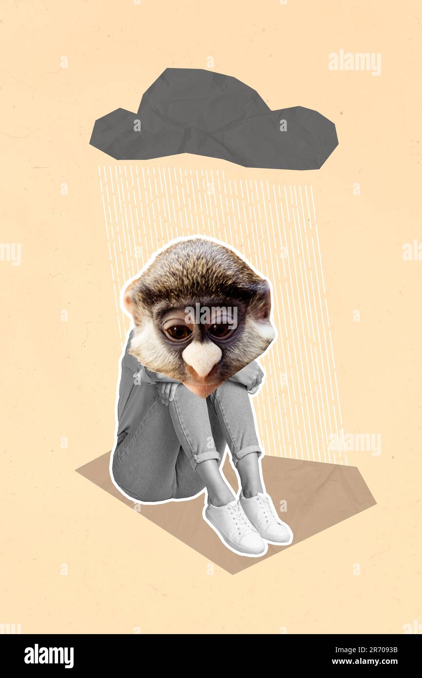 Vertical collage photo of depression apathy head monkey animal chimp ...
