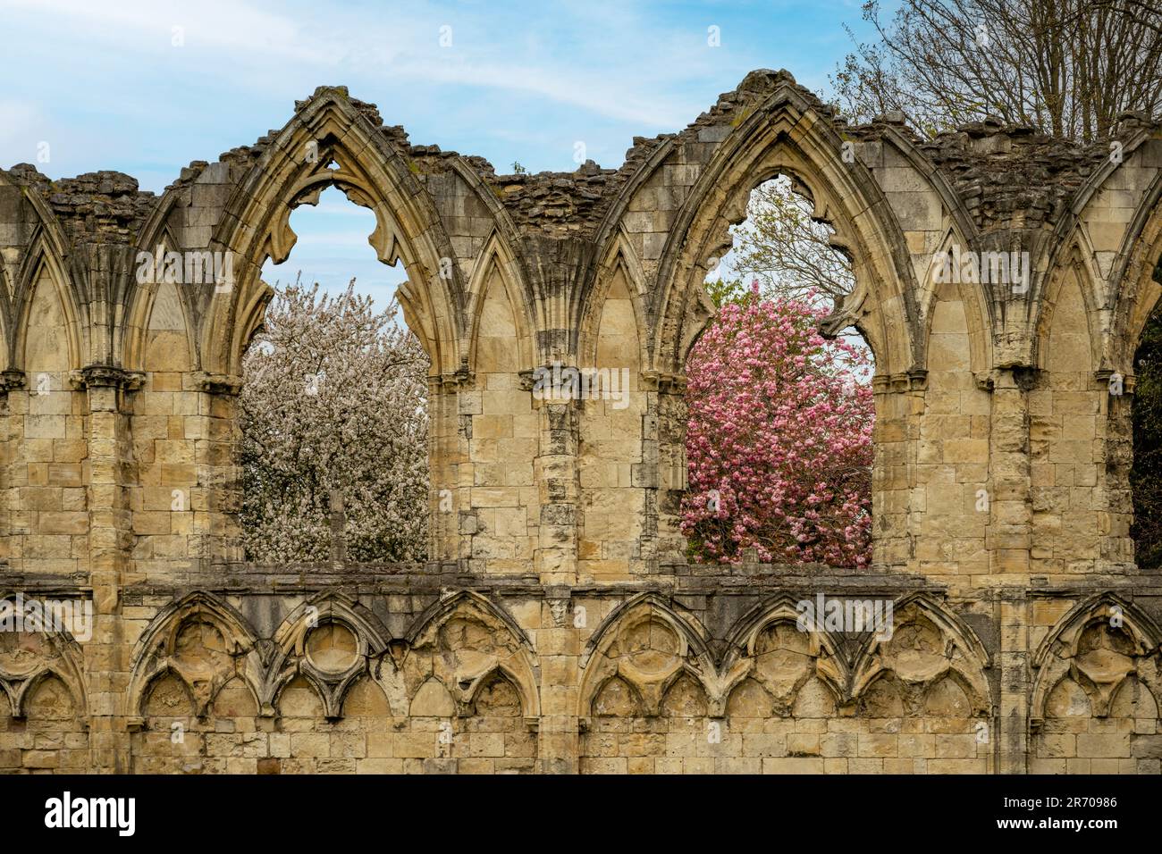 Pink and white spring blossom on trees seen through arched windows in ...