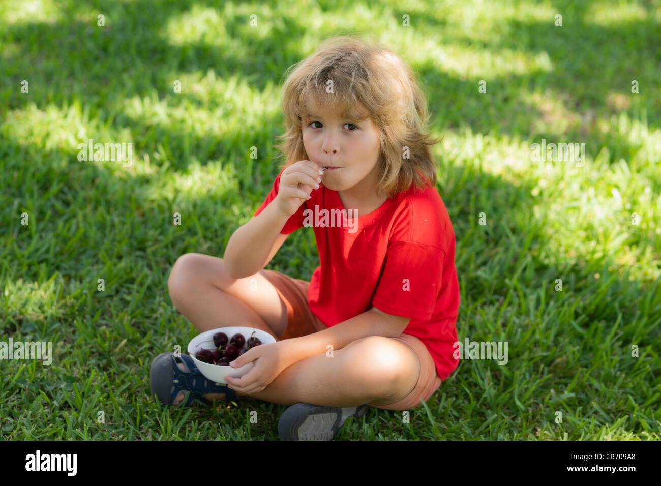 Kid sit on grass and eat cherry. Cute little boy eating cherries ...