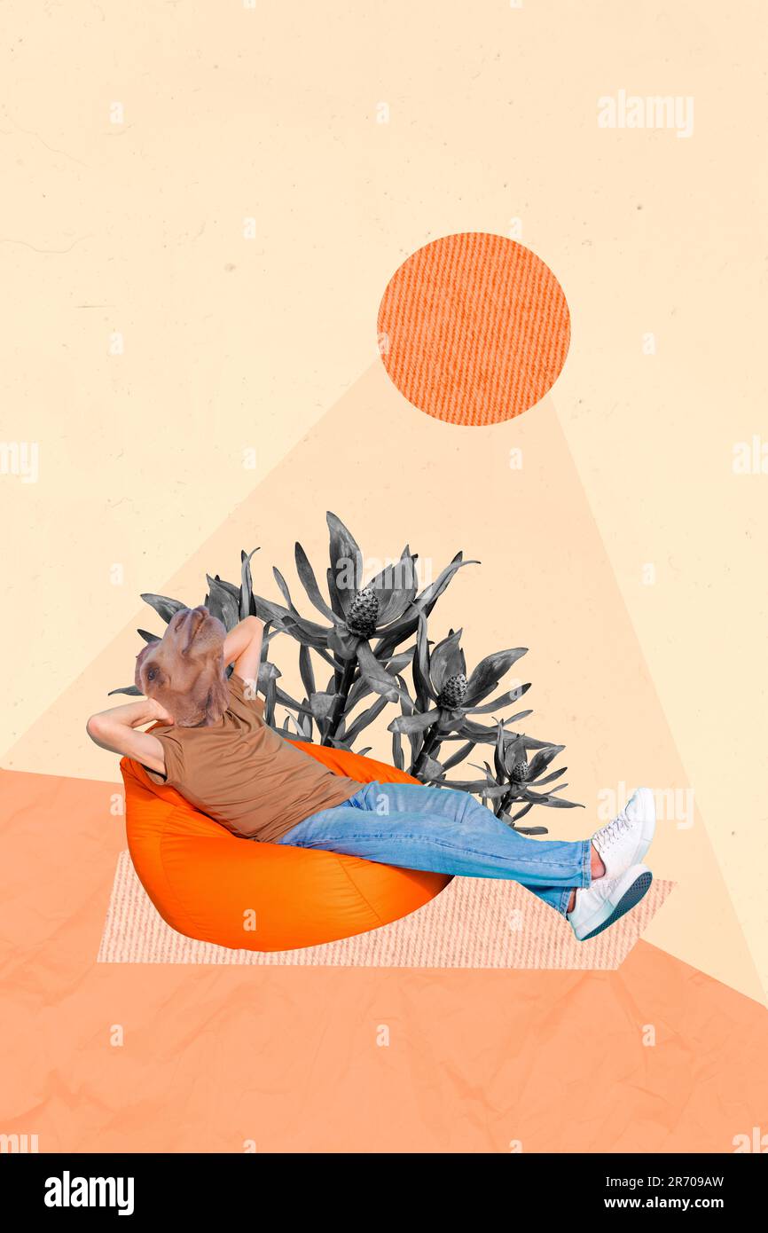 Vertical collage of head camel surreal animal zoo vacation chilling ...