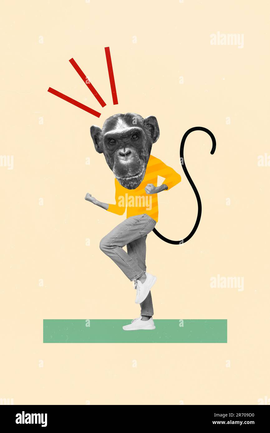 Photo cartoon comics sketch collage picture of lucky monkey head guy ...