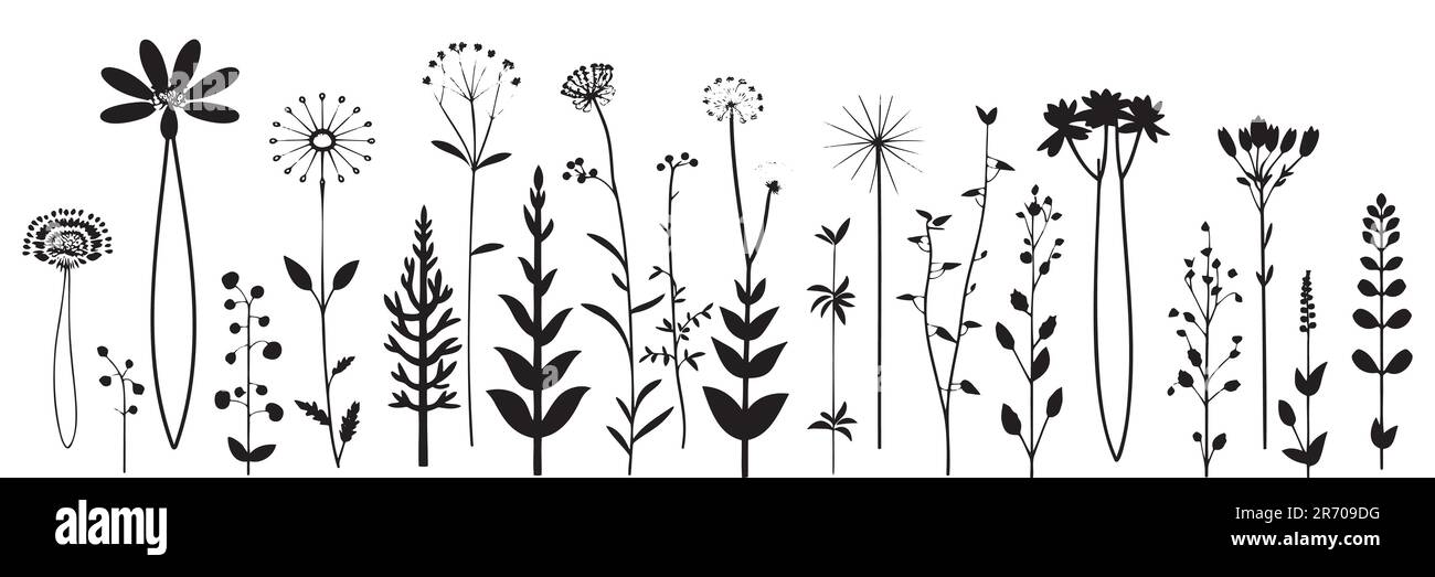 Silhouette wildflowers grass. Vector black hand drawn illustration with ...