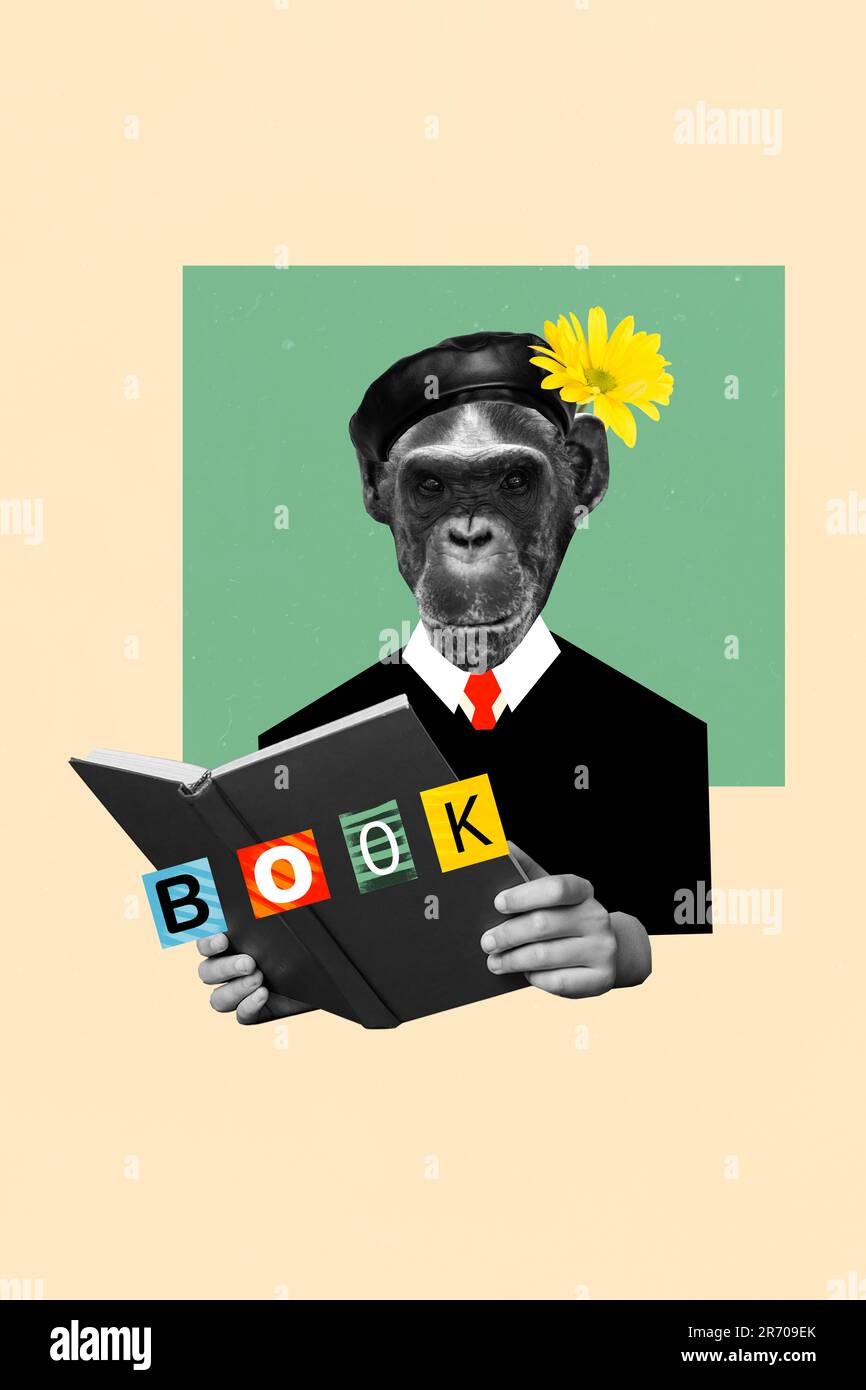 3d photo artwork graphics collage painting of funky funny monkey head ...