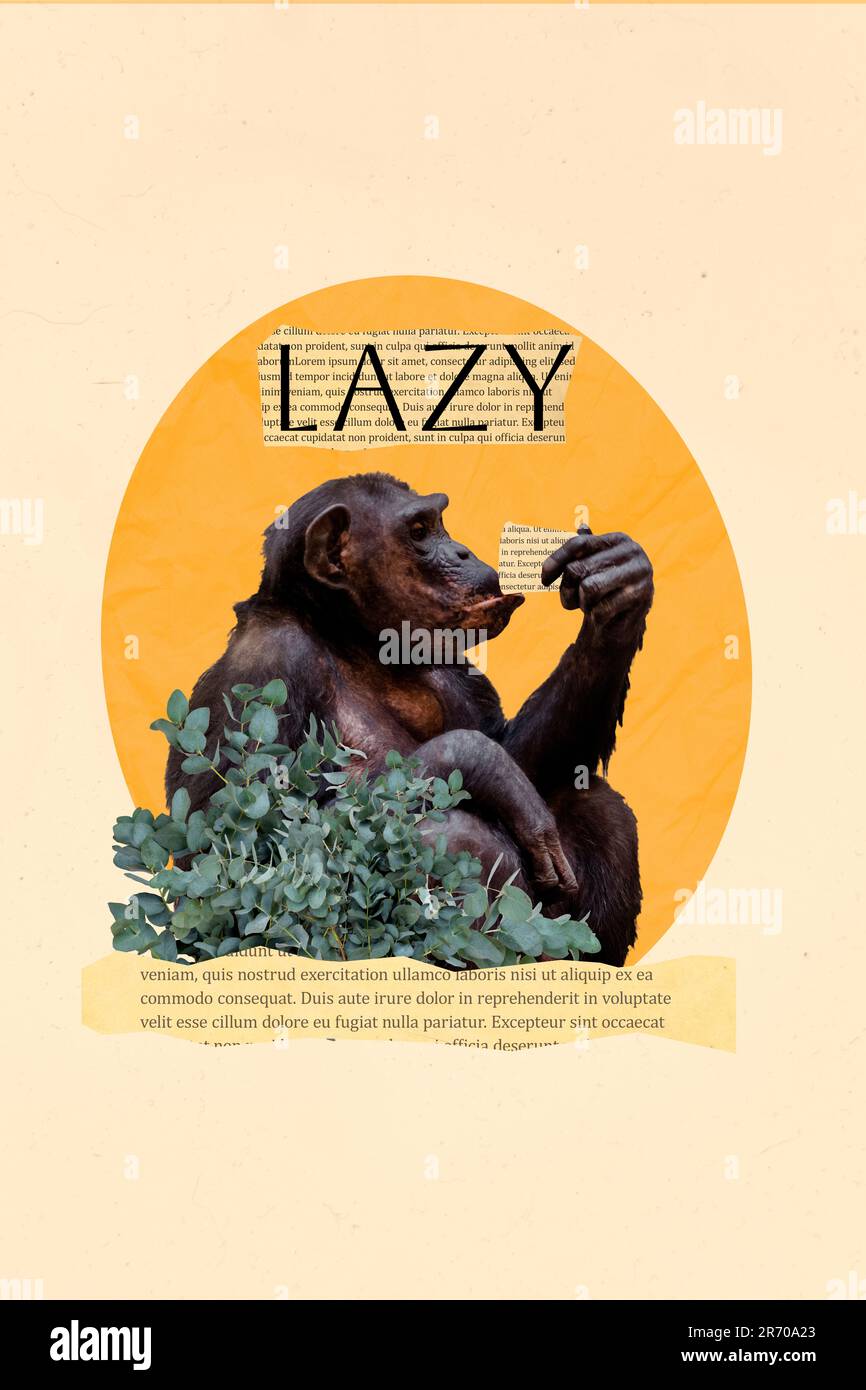 Vertical composite avatar collage of primate lazy monkey chimpanzee ...