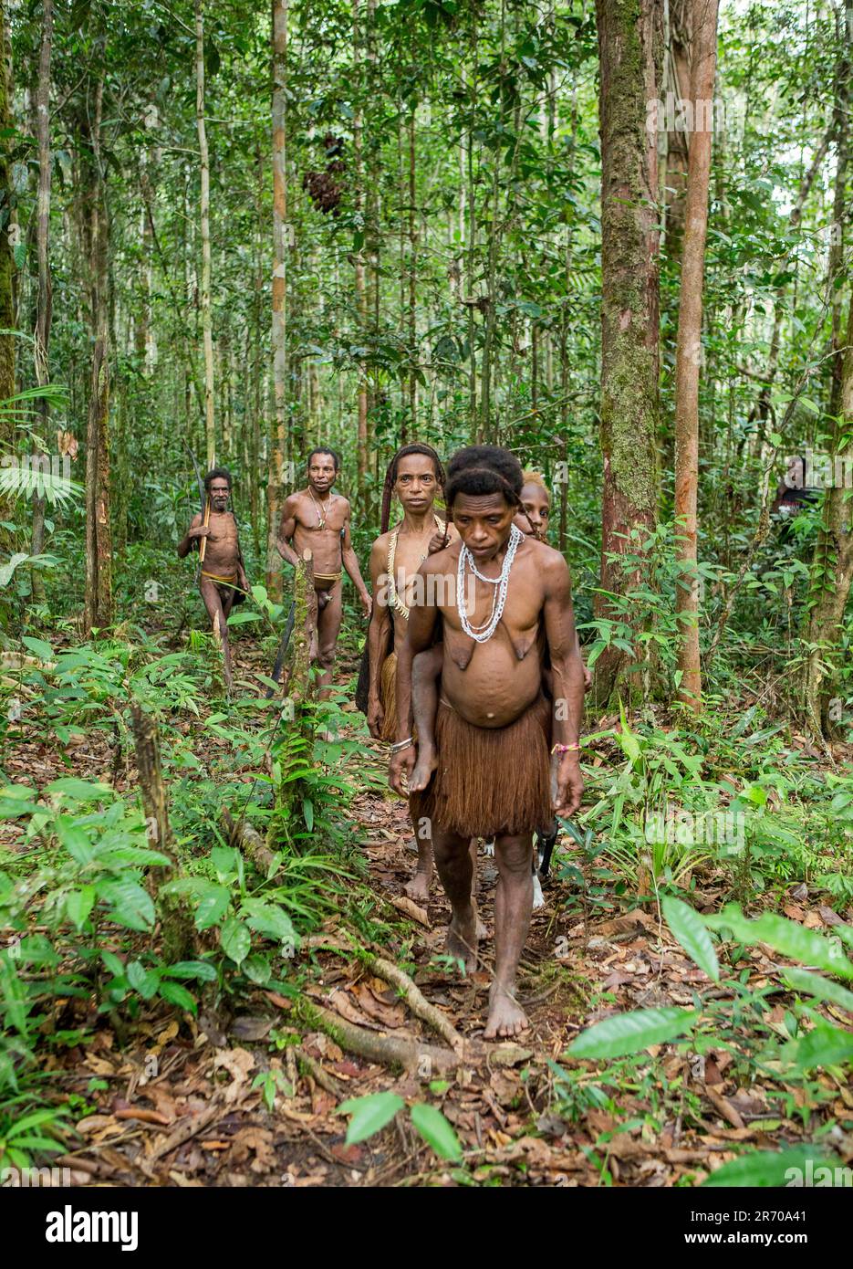 Inhabitants of the village of the Korowai tribe are returning from the ...