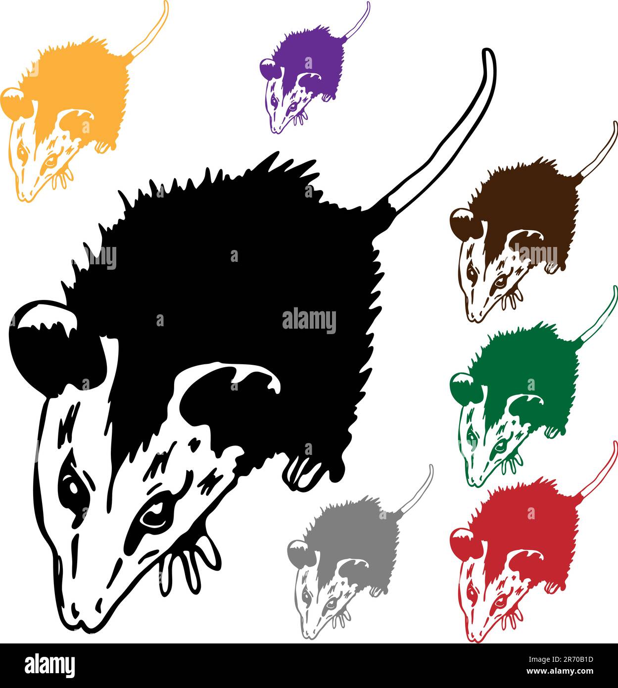 Possum with babies hi-res stock photography and images - Alamy