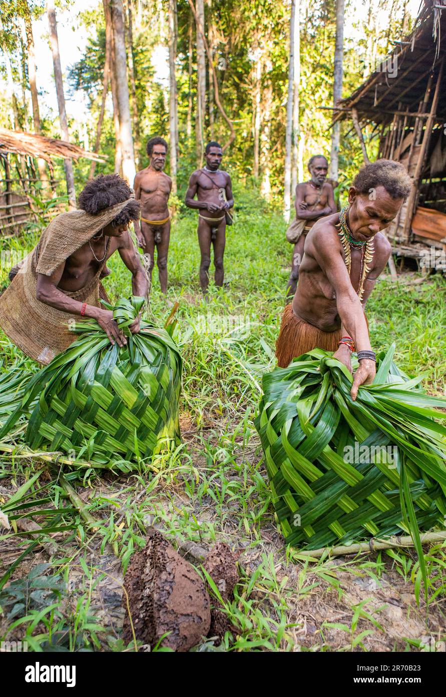 Women of the Korowai tribe are weaving fishing baskets. Tribe of ...