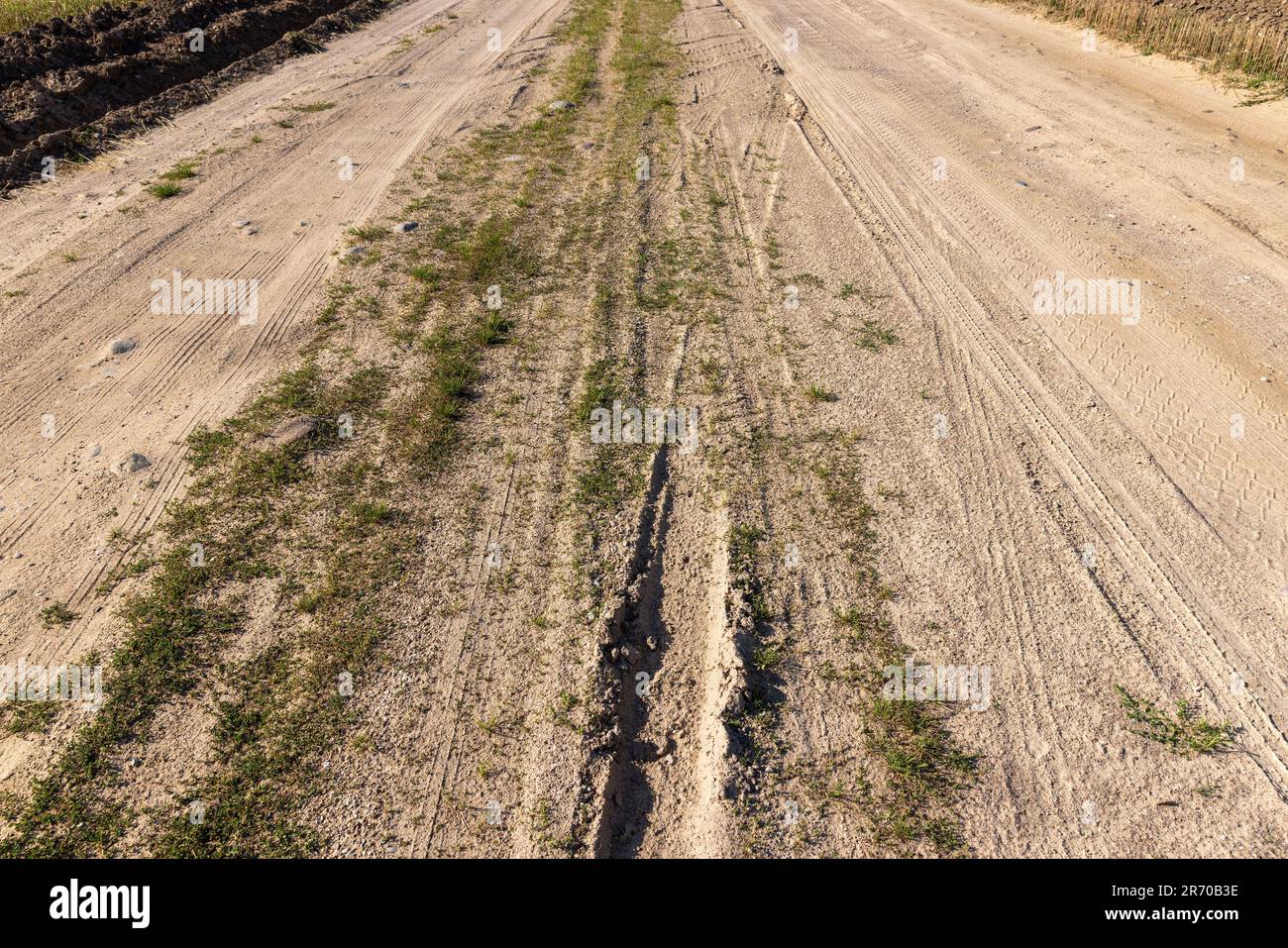 Rural road for cars and transport, ruts and traces of cars on a sandy ...