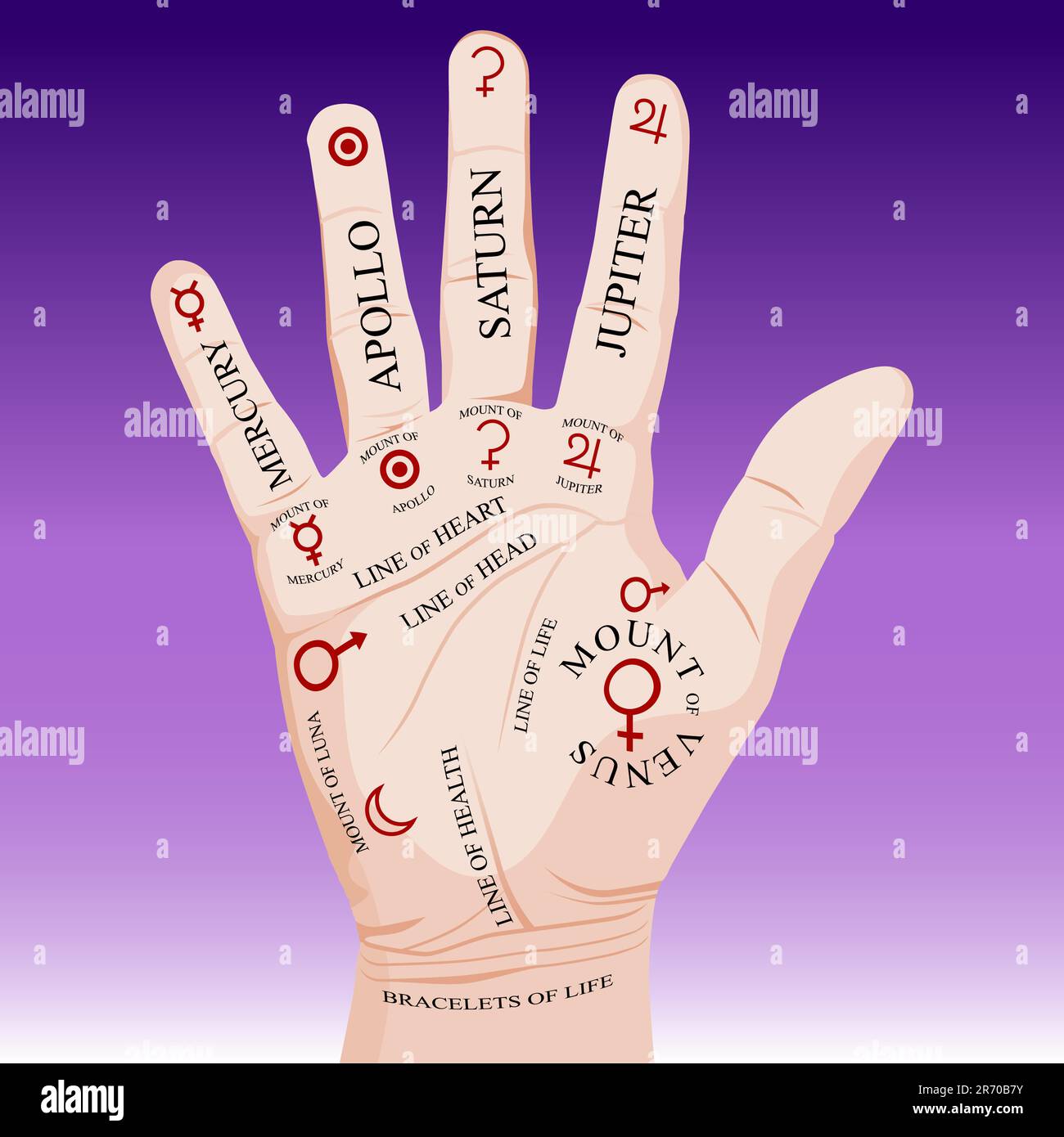Palm Reading Palmistry Stock Vector Image & Art - Alamy