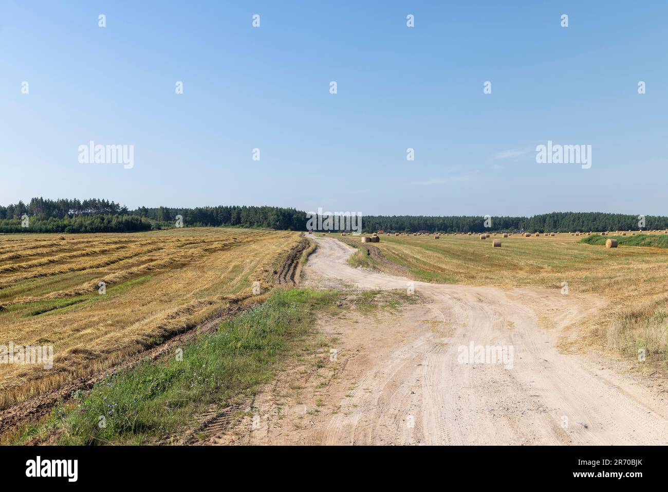 Rural road for cars and transport, ruts and traces of cars on a sandy ...