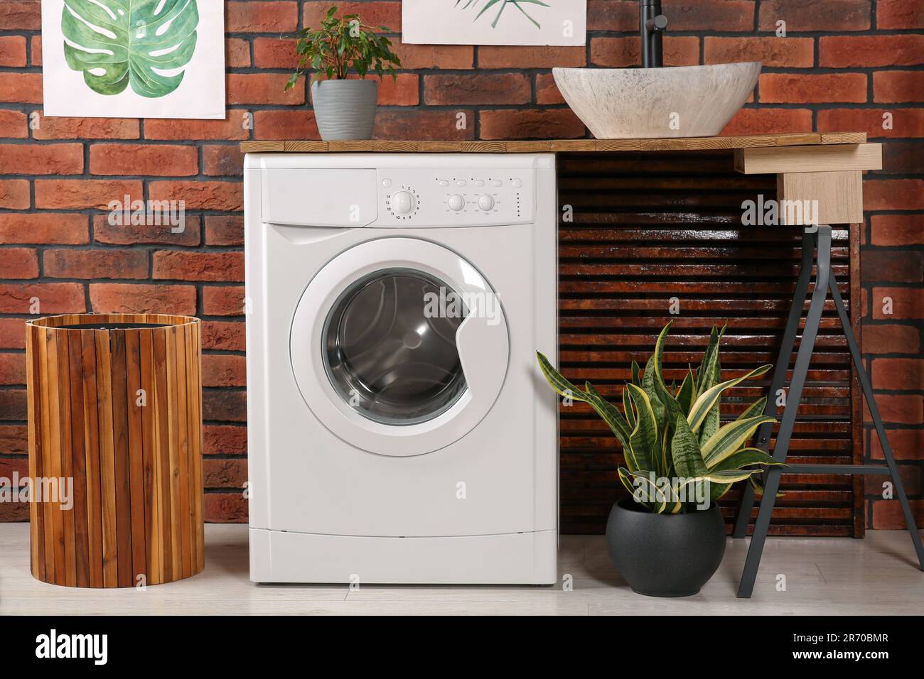 Washing machine, sink and potted plants indoors. Laundry room interior ...