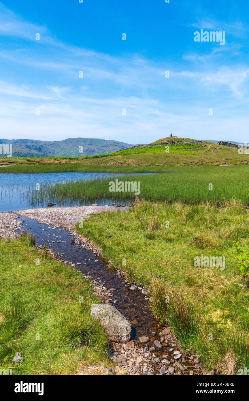 Alcock Tarn and its contributing beck, Grasmere, Cumbria Stock Photo ...