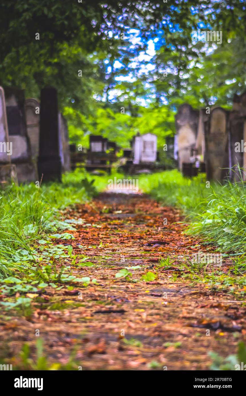 An abandoned graveyard with tall green grass growing over the ...