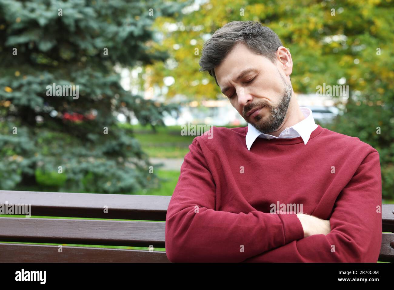 Tired man sleeping on bench in beautiful green park. Space for text ...
