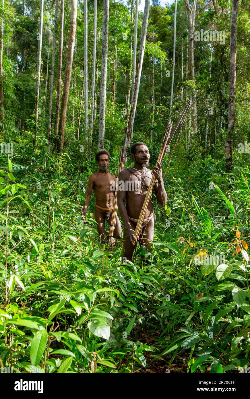 Nu guinea hi-res stock photography and images - Alamy