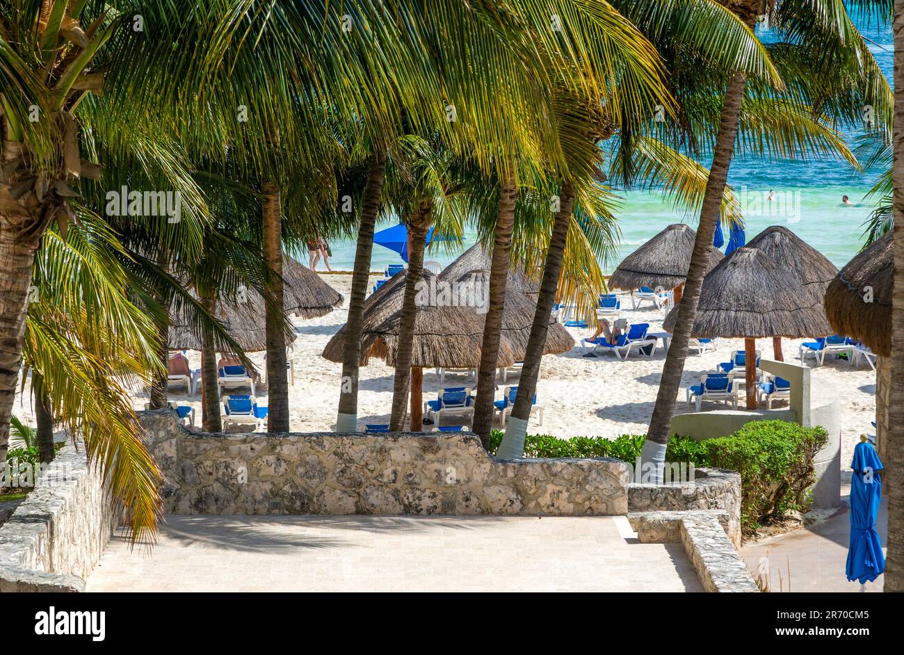 Sun shades and loungers on sandy beach, palm trees at Hotel Casa Maya ...