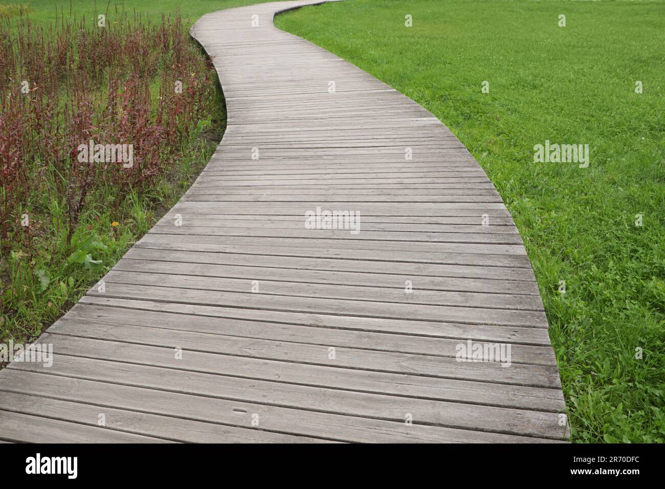 Beautiful public city park with pathway and green grass Stock Photo - Alamy