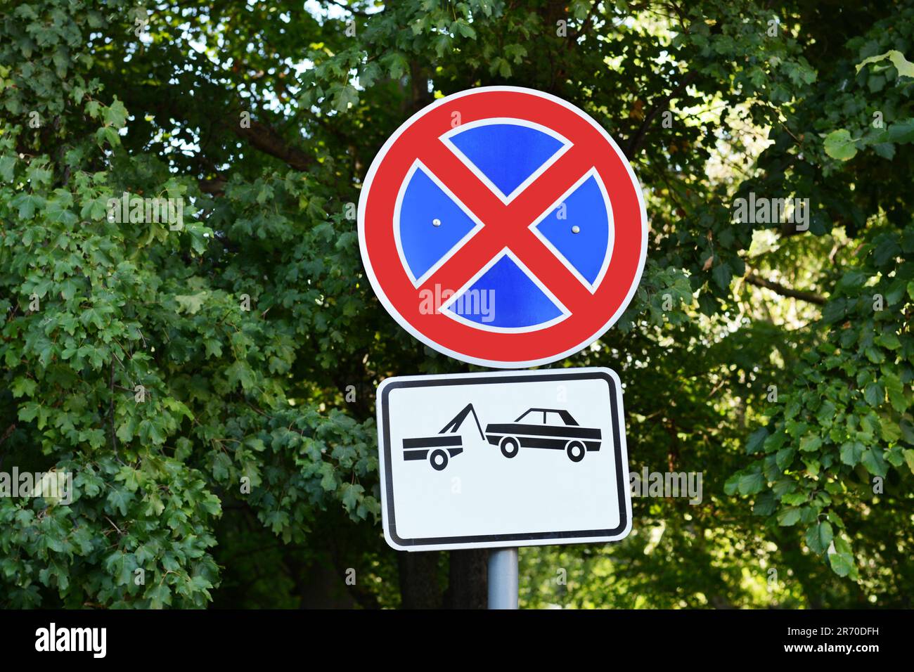 Different road signs on city street, space for text. Traffic rules ...