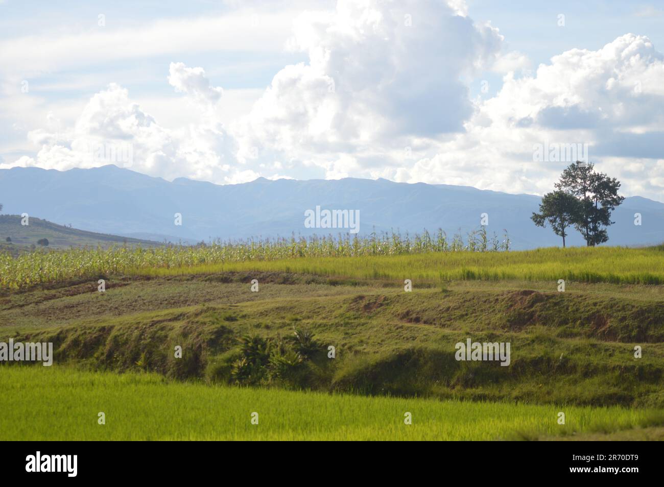 A stunning natural landscape with rolling green hills dotted with a ...