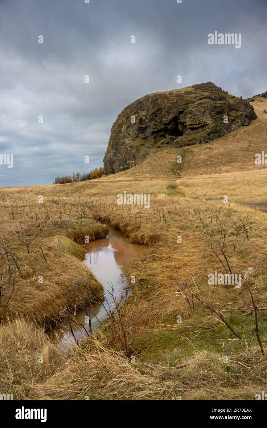 Autumn arctic nature. Yellow ground covered by lichen, grass and moss ...