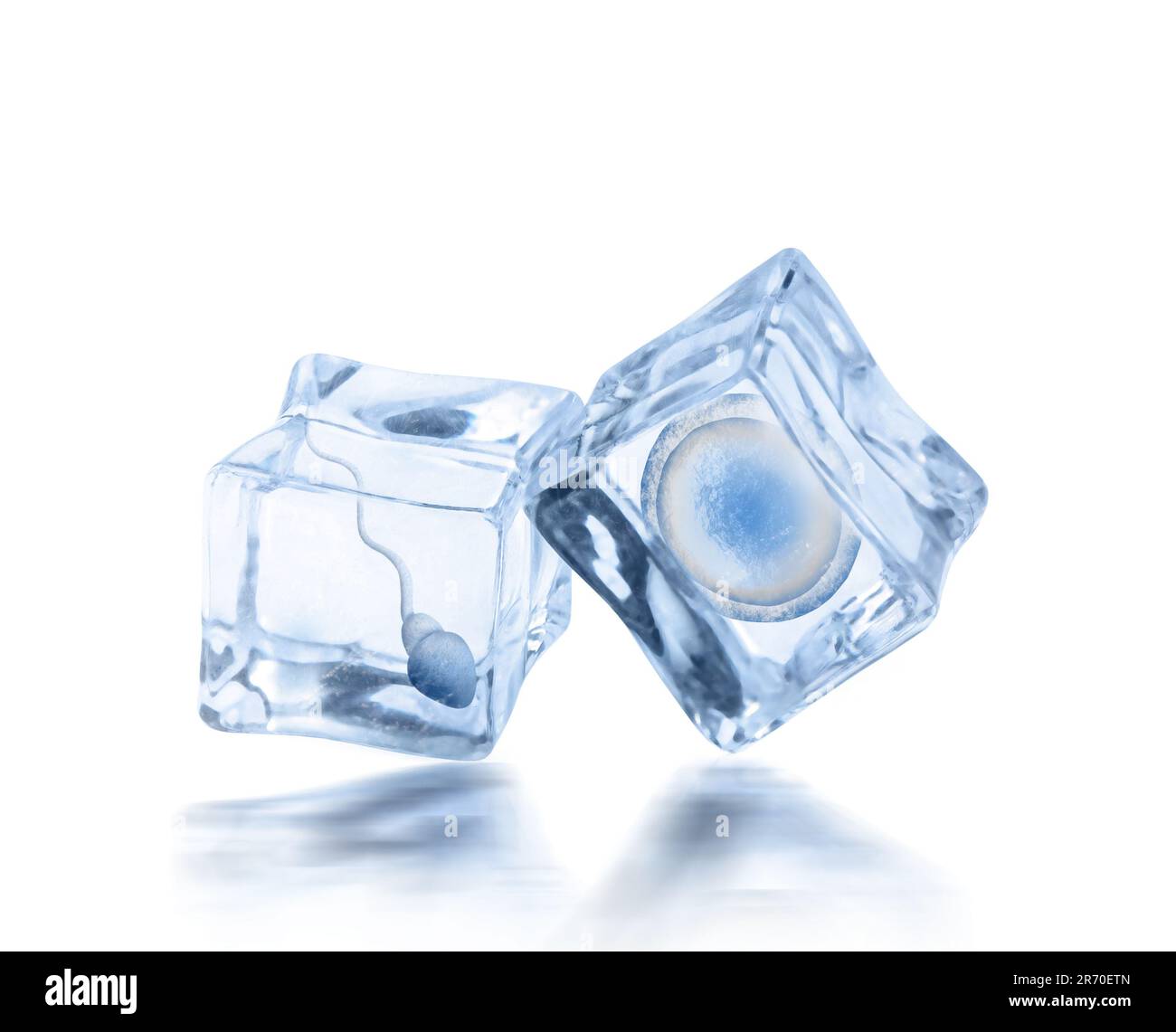 Cryopreservation of genetic material. Ovum and sperm cells in ice cubes ...