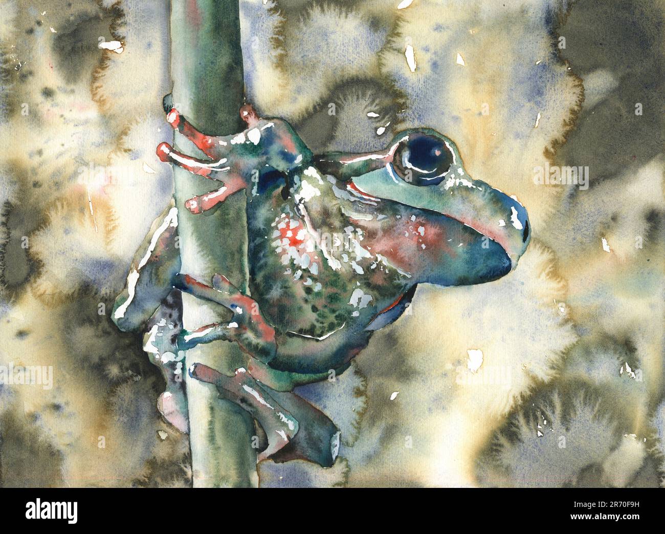 Amphibian watercolor hi-res stock photography and images - Alamy
