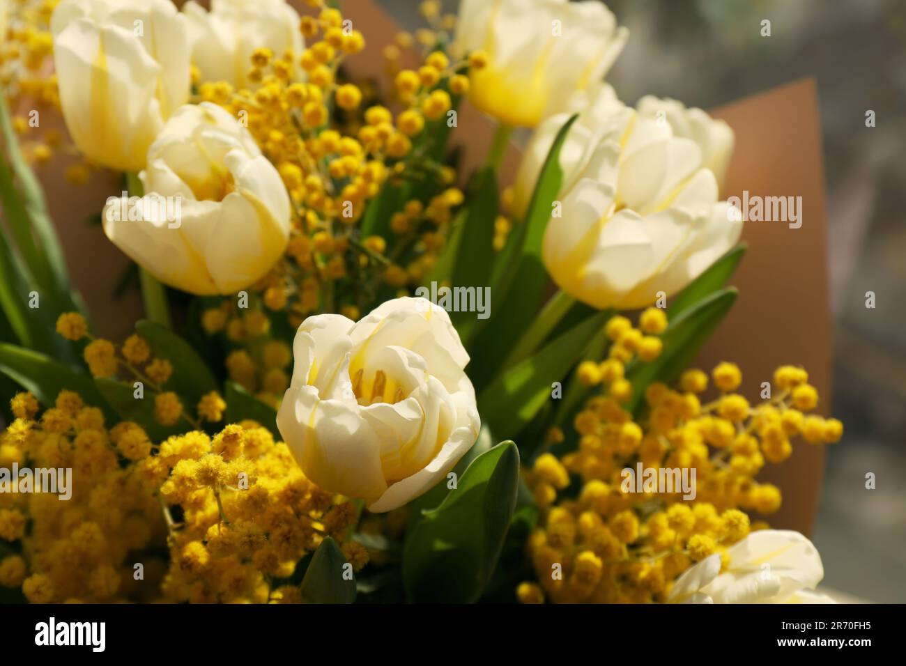 Beautiful spring flowers closeup hi-res stock photography and images ...