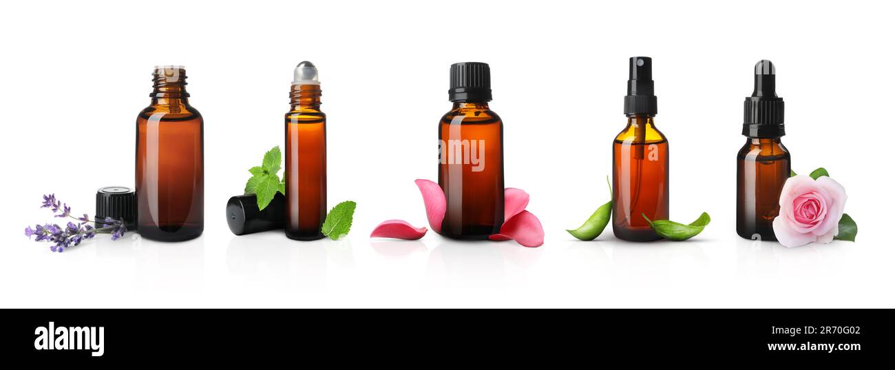 Set of different essential oils in bottles and ingredients on white ...