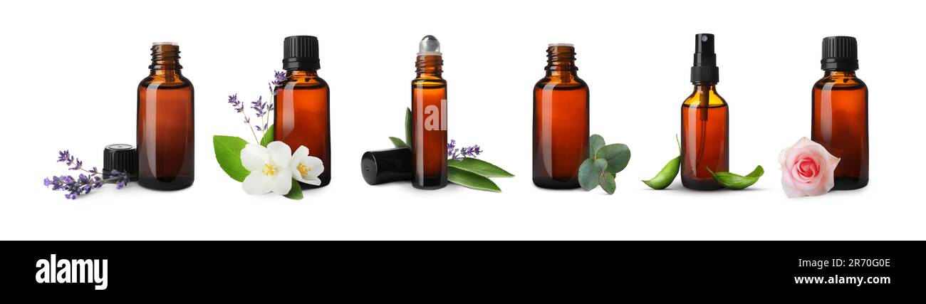 Set of different essential oils in bottles and ingredients on white ...